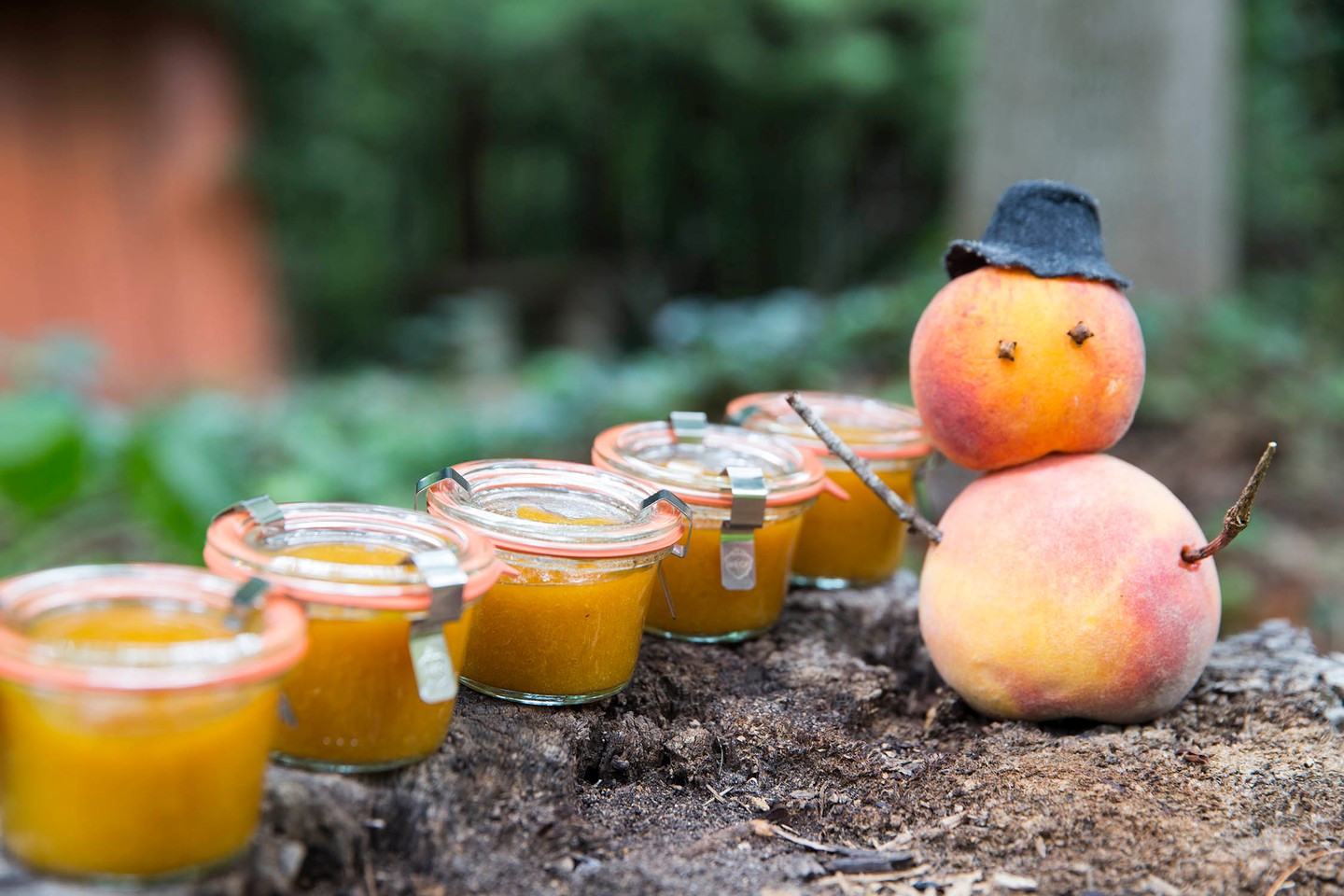 Log Cabin Cooking - Seasonal Old-time Cooking and Housekeeping From a ...